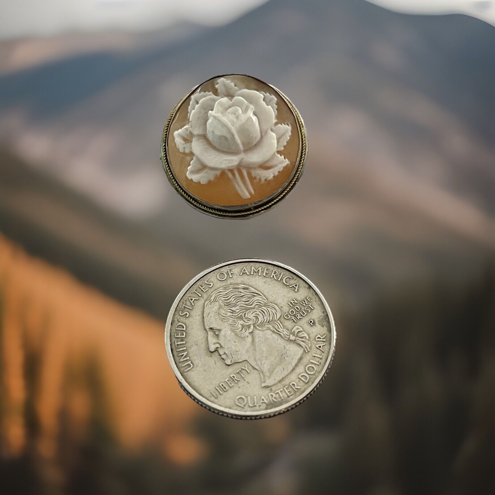800 Silver Italian Carved Shell Cameo of a Rose Brooch Pendant ...