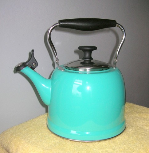 Martha Stewart Blue Induction EVERYDAY Tea Kettle - Stainless Steel ...