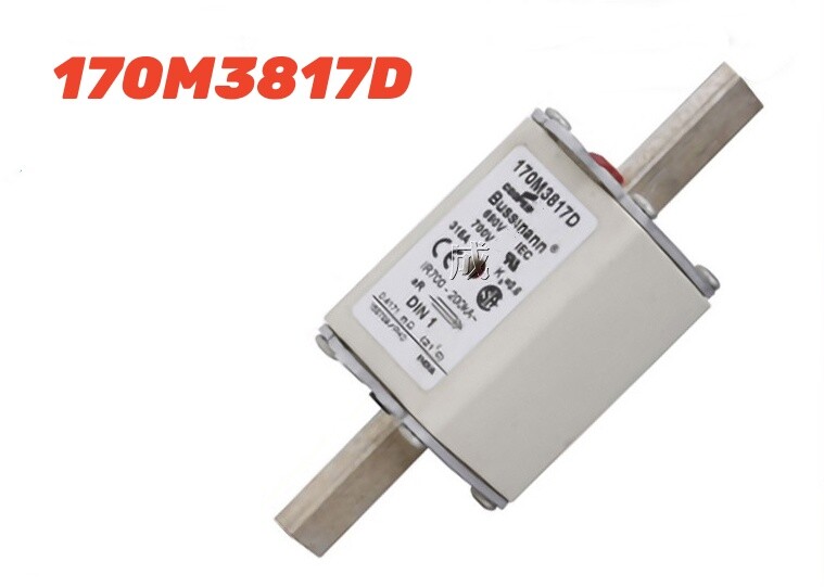 170M3815D 170M3816D 170M3817D Fast Fuse Low Voltage Special Fuse for ...
