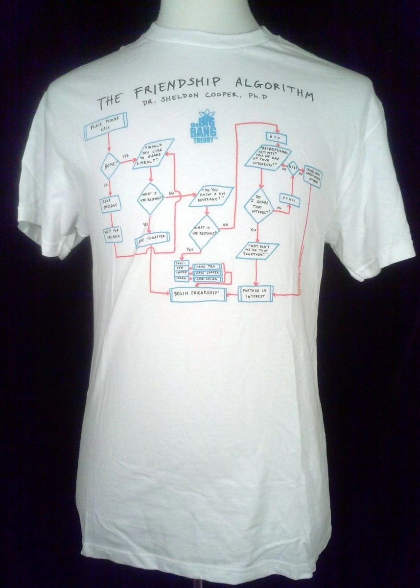 Big Bang Theory Friendship Algorithm