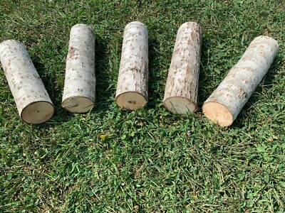 Aspen Logs, 5 count, 3 inch diameter, 12 inches long | eBay