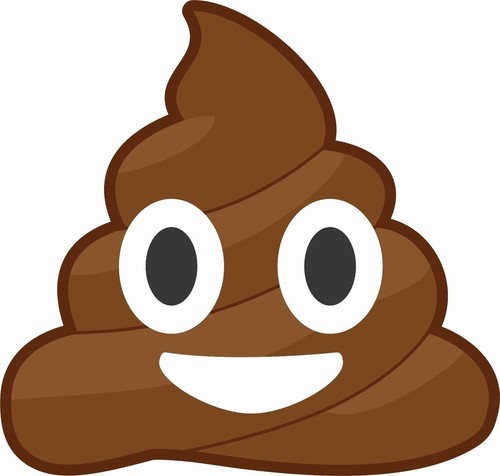 Emoji Poop STICKER DECAL MADE IN USA | eBay
