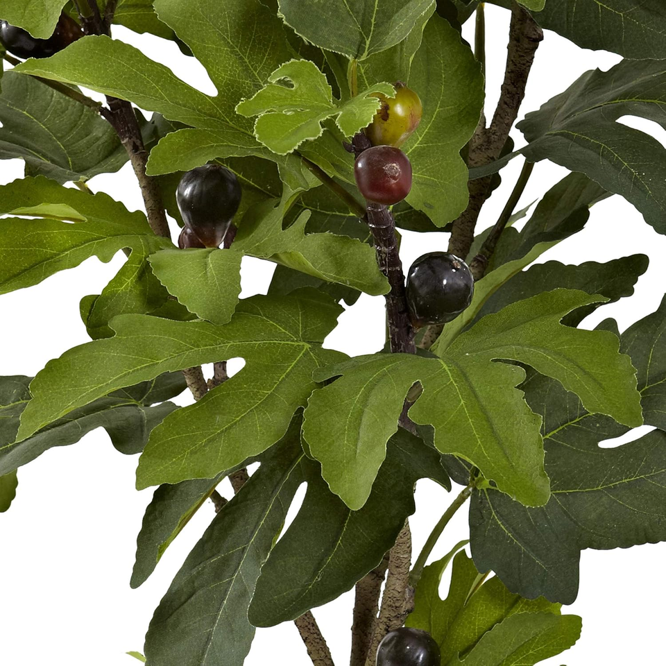 32In. Fig Tree with 15 Figs | eBay