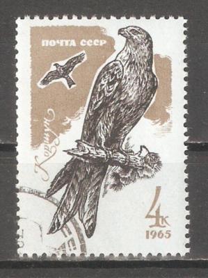 Russia/USSR 1965, Birds of prey Red Kite, Scott # 3127,VF CTO NH**OG | eBay