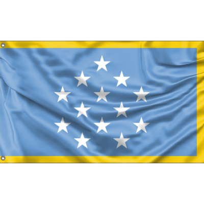 Flag Display Medal Of Honor Challenger Astronaut's Space Medal Of