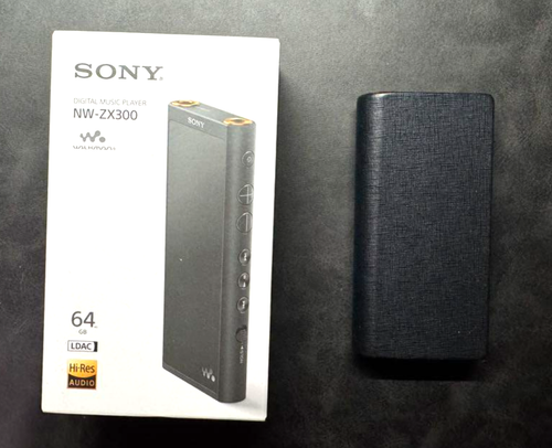 Sony NW-ZX300 Walkman 64GB Portable Digital Audio Player Excellent From ...