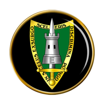 Allied Forces Central Europe AFCENT Pin Badge | eBay