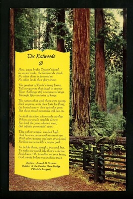 Poetry Poem Poet Postcard Redwoods Joseph B. Strauss Trees CA Chrome | eBay
