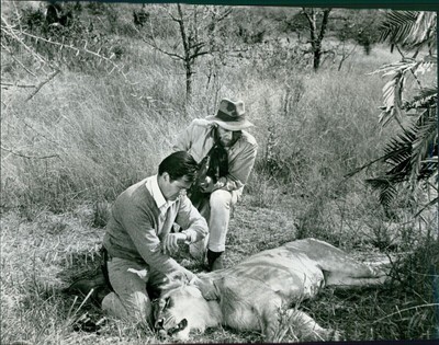 Robert Culp Celebrity Mgm Rhino Lion Harry Guardino Actor Famous 7X9 ...