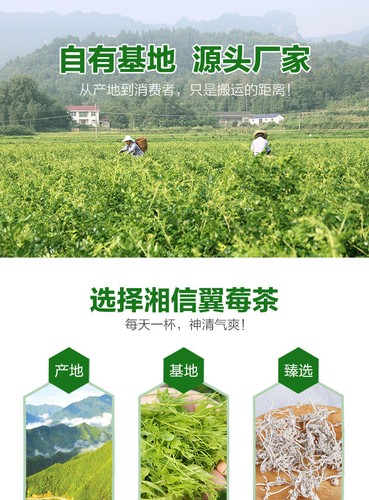 125g-500g Mei Tea Natural Health Herbal Tea | eBay