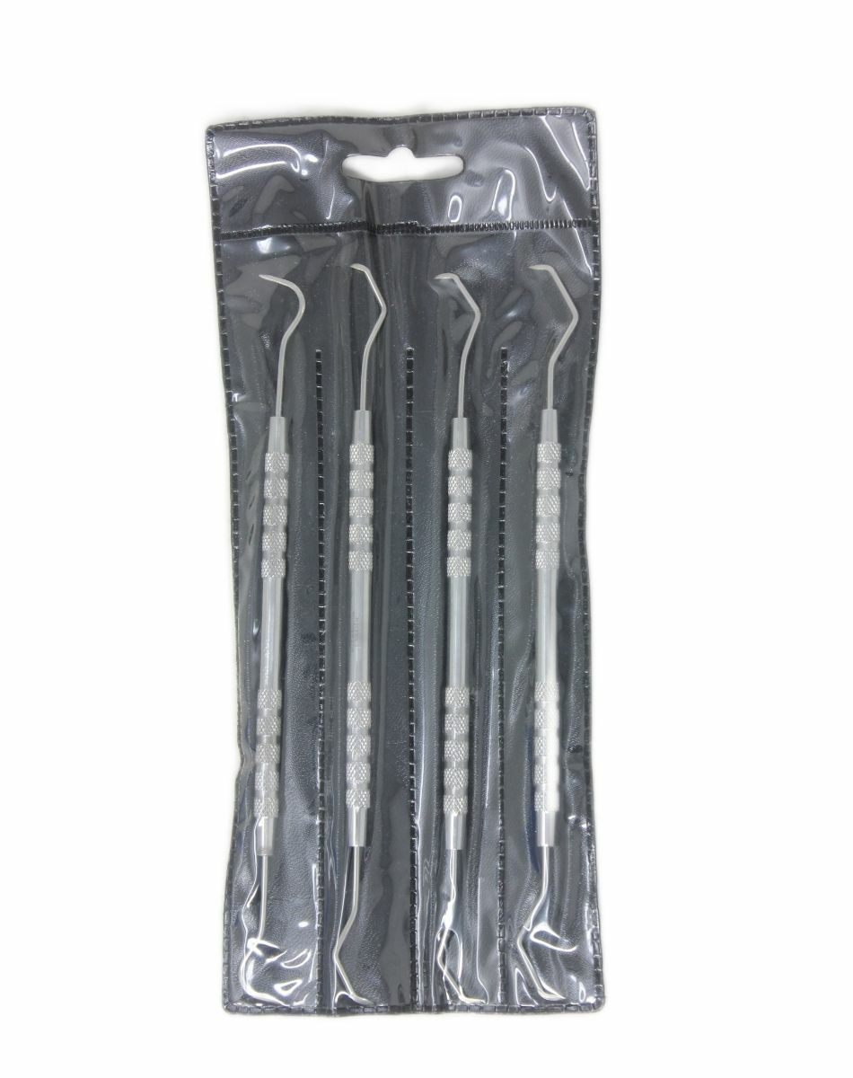Dental Tooth Pick Tools