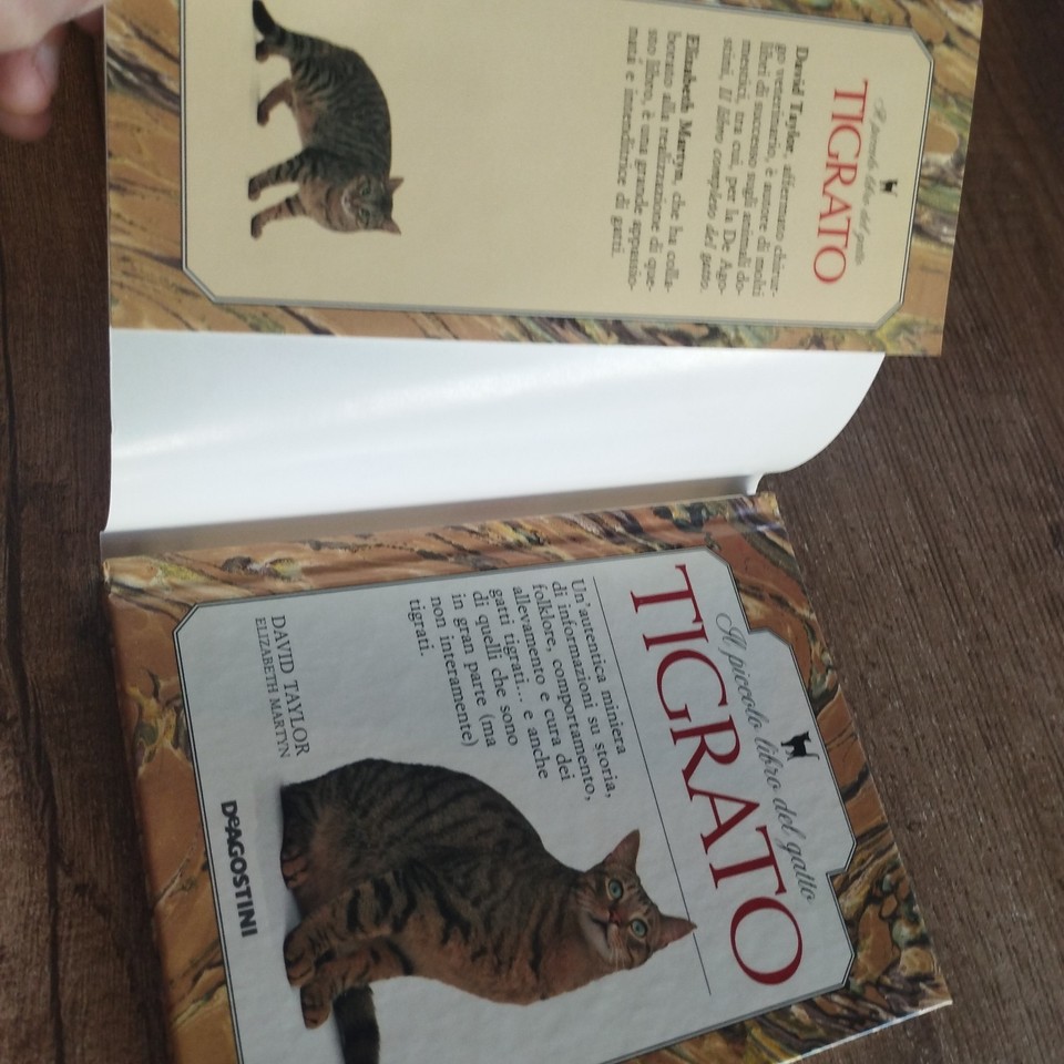 IL PICCOLO LIBRO DEL GATTO TIGRATO DAVID TAYLOR ELIZABETH MARTYN ...