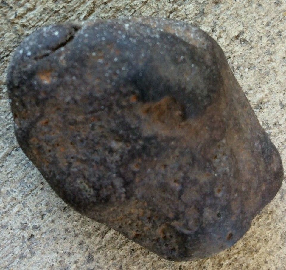 Meteorite ABEE - Enstatite Chondrite EH4 - fell 1952 in Canada - End ...