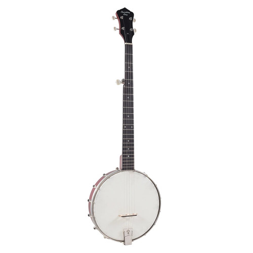 Recording King - RKOH-05 - 5-string Open-back Banjo - Satin Finish | eBay