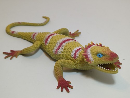 Yellow Sungazer Giant Girdled Lizard SMAUG GIGANTEUS 35cm/13" Animal ...