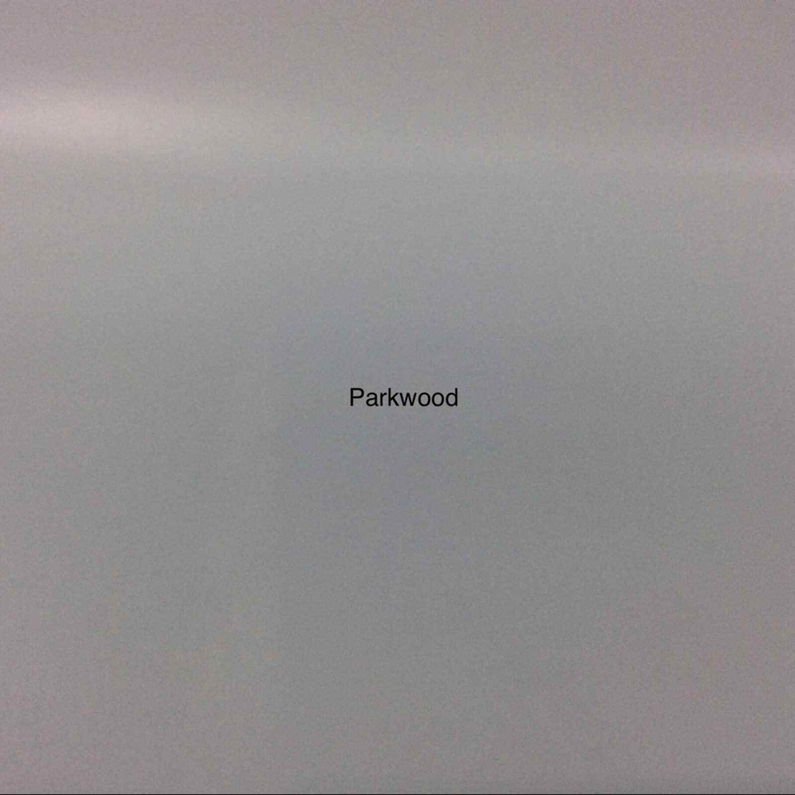 Vintage Parkwood High School Senior Key Pendant - Gem