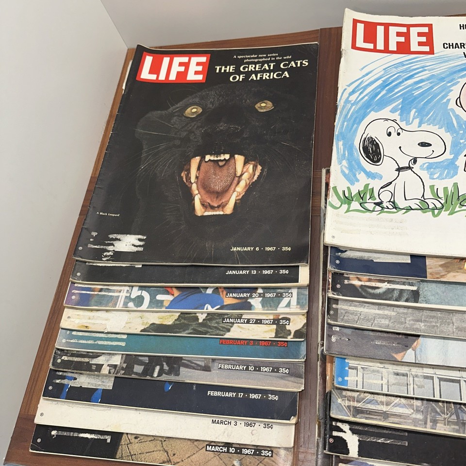 LIFE Magazine Lot of 45 Magazines (January-December)1967 | eBay