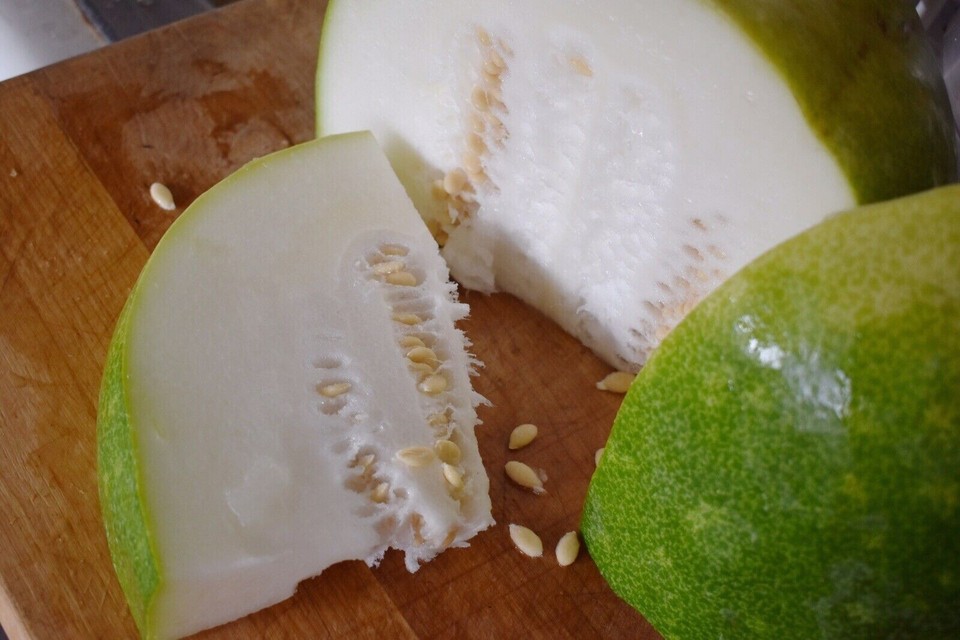 20+ Wax Gourd Seeds White Ash Gourd Winter Melon Dong Gua (Alu) Puhul ...