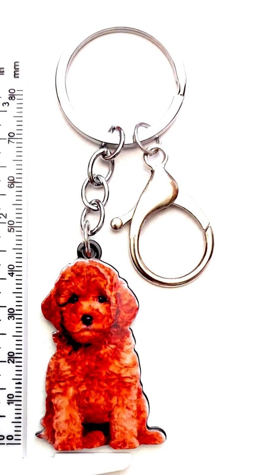 Acrylic Poodle Dog Keyring Keychain Lover Christmas Christmas Gift Idea ...