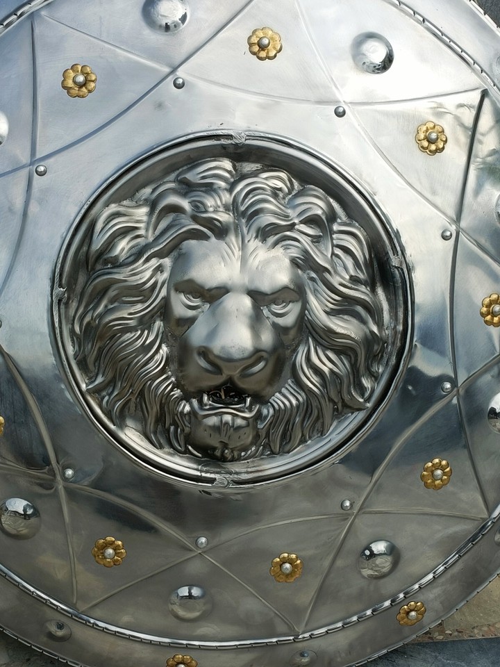 Medieval Lion Face Round Shield - Battle-Worn Warrior Shield for LARP ...