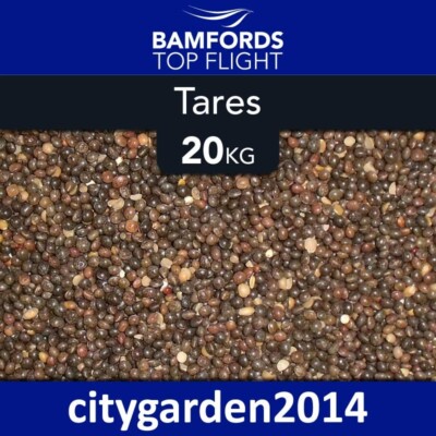 Tares - Wild Bird Food / Fishing Bait Carp Fishing Particle | eBay