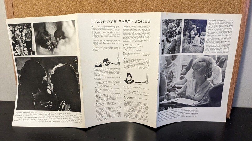 Playboy Magazine September 1969 Replacement Centerfold Only of Shay ...