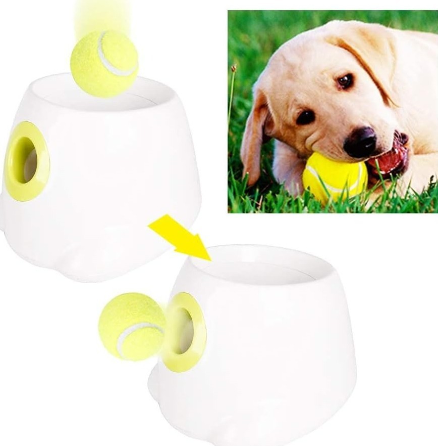NEW ALL FOR PAWS Interactive Hyper Fetch Maxi Ball Throwing Toy For ...