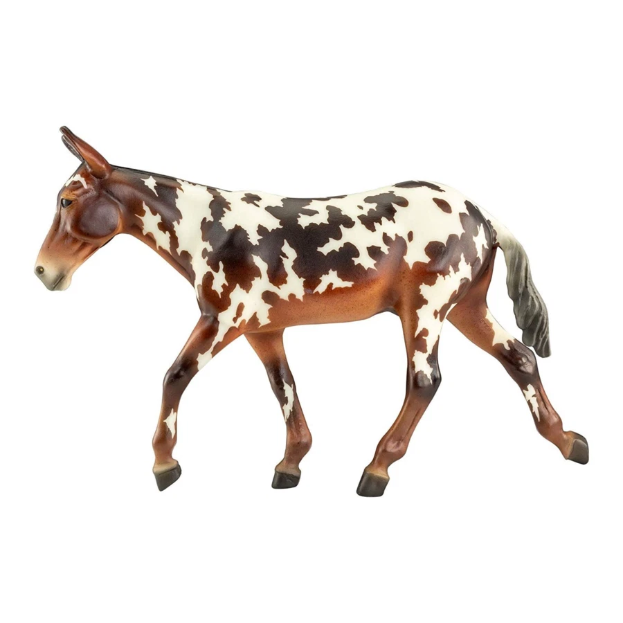 Appaloosa Mule