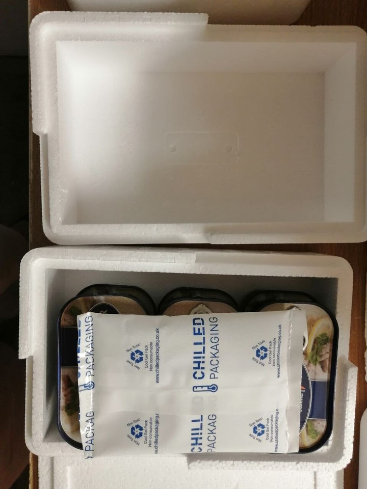 COOL THERM INSULATION POLYSTYRENE BOX FOOD FISH RESTAURANT THERMO GIFT ...