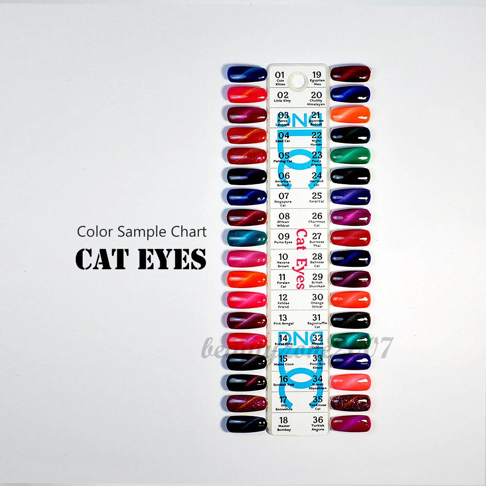 Cat Iris Chart