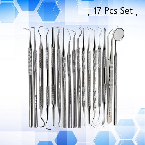 17 Pcs Set Professional Dental Pick & Mirror Tools Sculpture Instrument ...