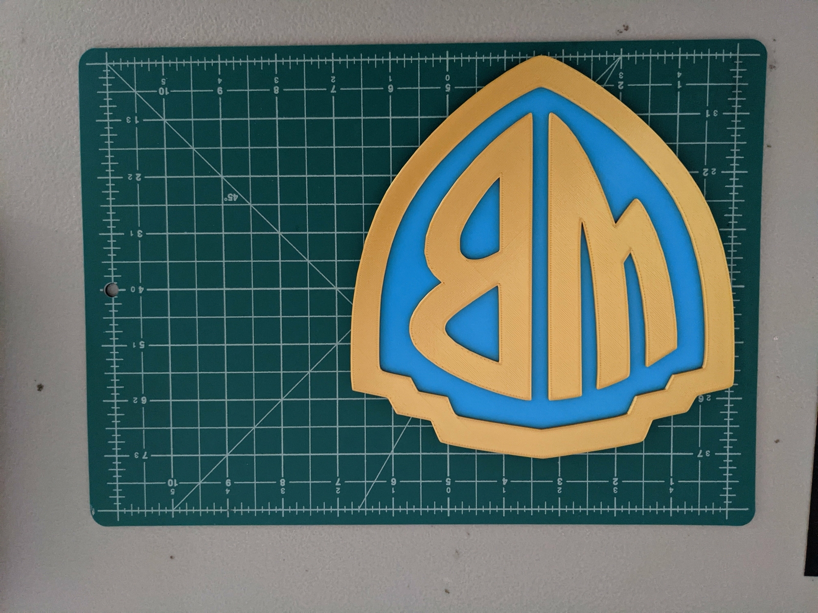 Warner Brothers WB Bros 3D printed logo shield wall display | eBay