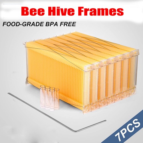 Comb Hive Frame Beehive 7PCS Upgraded Auto Honey Bee Hive Frames AU | eBay
