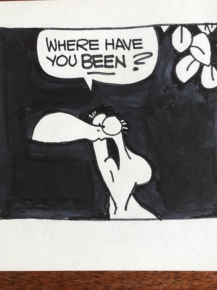 Animal Crackers Comic Strip By Rog Bollen Daily Original Strip ...