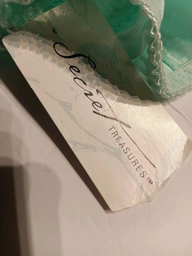 Vintage Secret Treasures High Cut Satin Panty ( NWT/LARGE ) | eBay