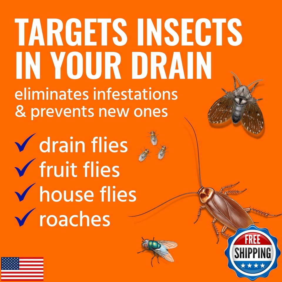 TERRO Drain Insect Killer - T590 Drain Fly Killer - Foam Drain ...