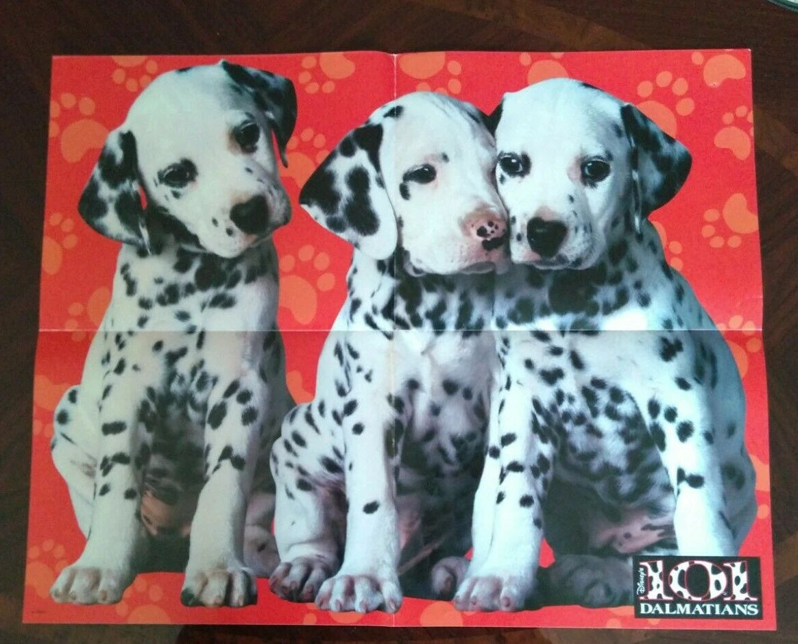 101 Dalmatian Puppies Real Life