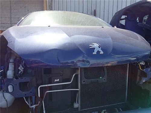 CAPOT Peugeot 208 I (CA/CC/CK/CL) 9803656980 | eBay