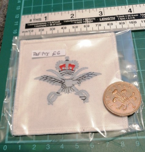 RAF PTI Physical Training Instructor Patch. Military Patches | eBay UK
