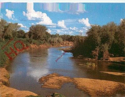 Picture Postcard::South Africa, River In the Bushveld, Transvaal | eBay UK