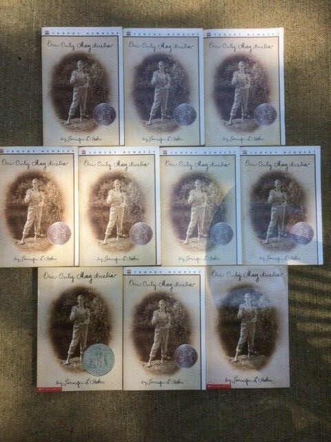 Our Only May Amelia class set Holm Newbery guided reading lot 10 PB | eBay