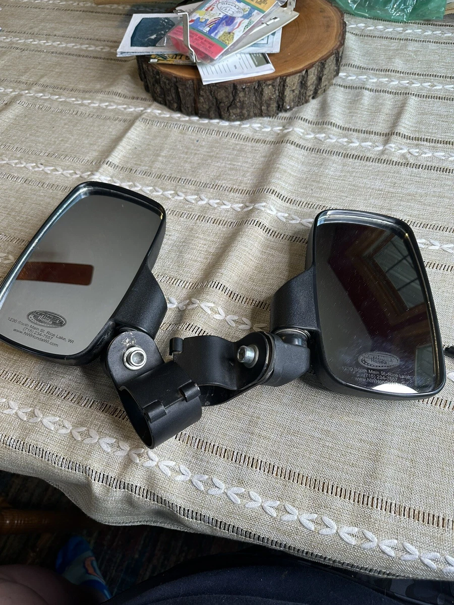 Ricer Honda Civic Side View