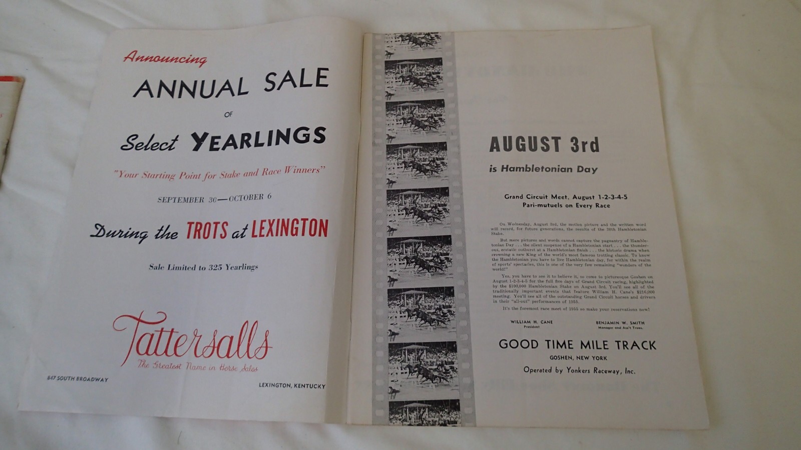 Hoof Beats Harness Racing Magazine August 1955 Bill Cane Story | eBay