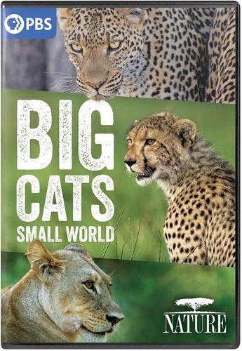 NATURE: Big Cats, Small World (DVD) David Oyelowo 841887048705| eBay