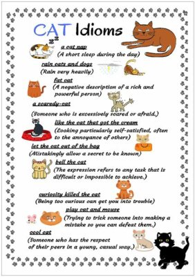 CAT IDIOMS CAT SIGN - PRINTED SIGN A5 A4 | eBay UK