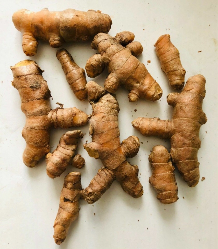 10PCS TUMERIC ROOTS FOR PLANT-CURCUMA LONGA-ARTHRITIS PAIN,MAKE TEA ...