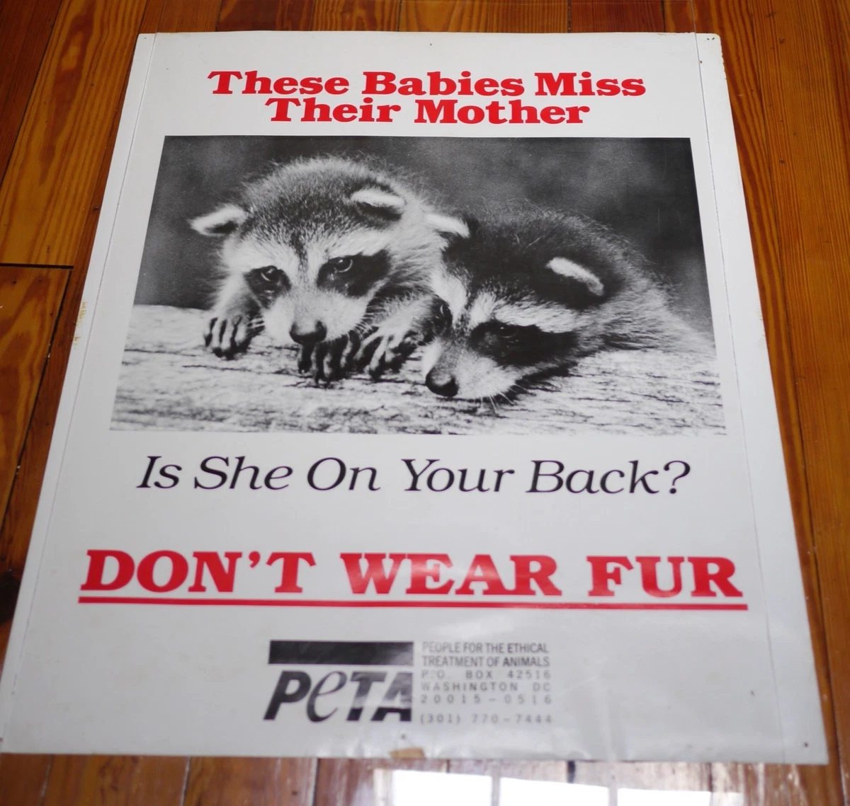 Animal Rights Poster Peta