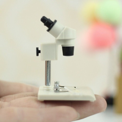 Laboratory Accessories Mother Garden Mini Toys Miniature Ornaments ...