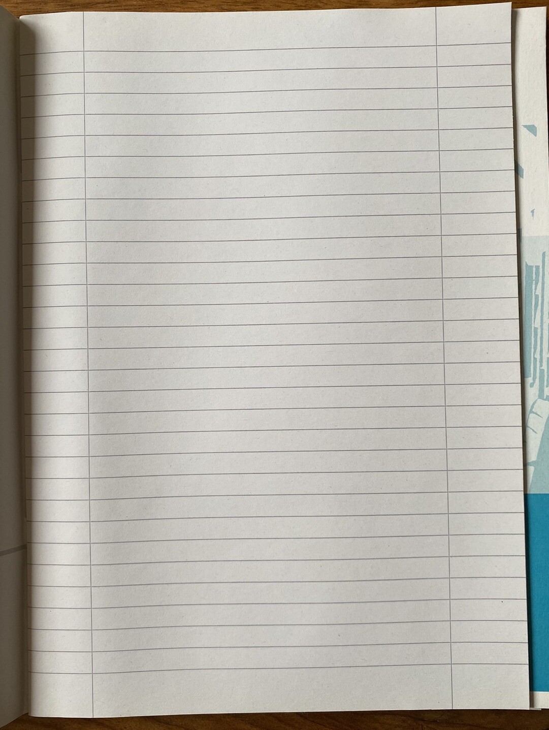 3 Stk. VIVESS Heft Notebook 16 Blatt liniert DIN A4 mit Doppelrand ...