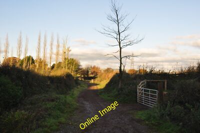 Photo 12x8 East Devon : Farm Track Huxham A small track heading from ...